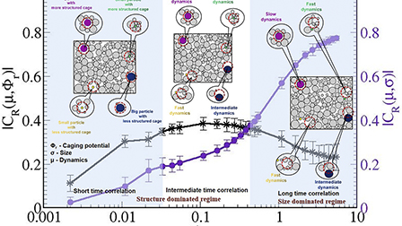 Dynamic heterogeneity in polydisperse systems: A comparative study of the role of local ...