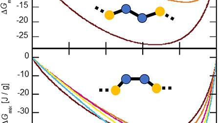 Effects of intramolecular chain conformation on the hydration and ...