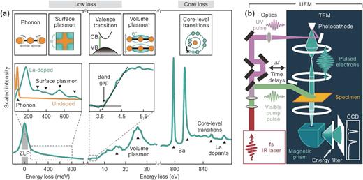 Using electron energy-loss spectroscopy to measure nanoscale electronic and vibrational dynamics ...