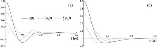 Molecular hydrodynamic theory of the velocity autocorrelation function ...