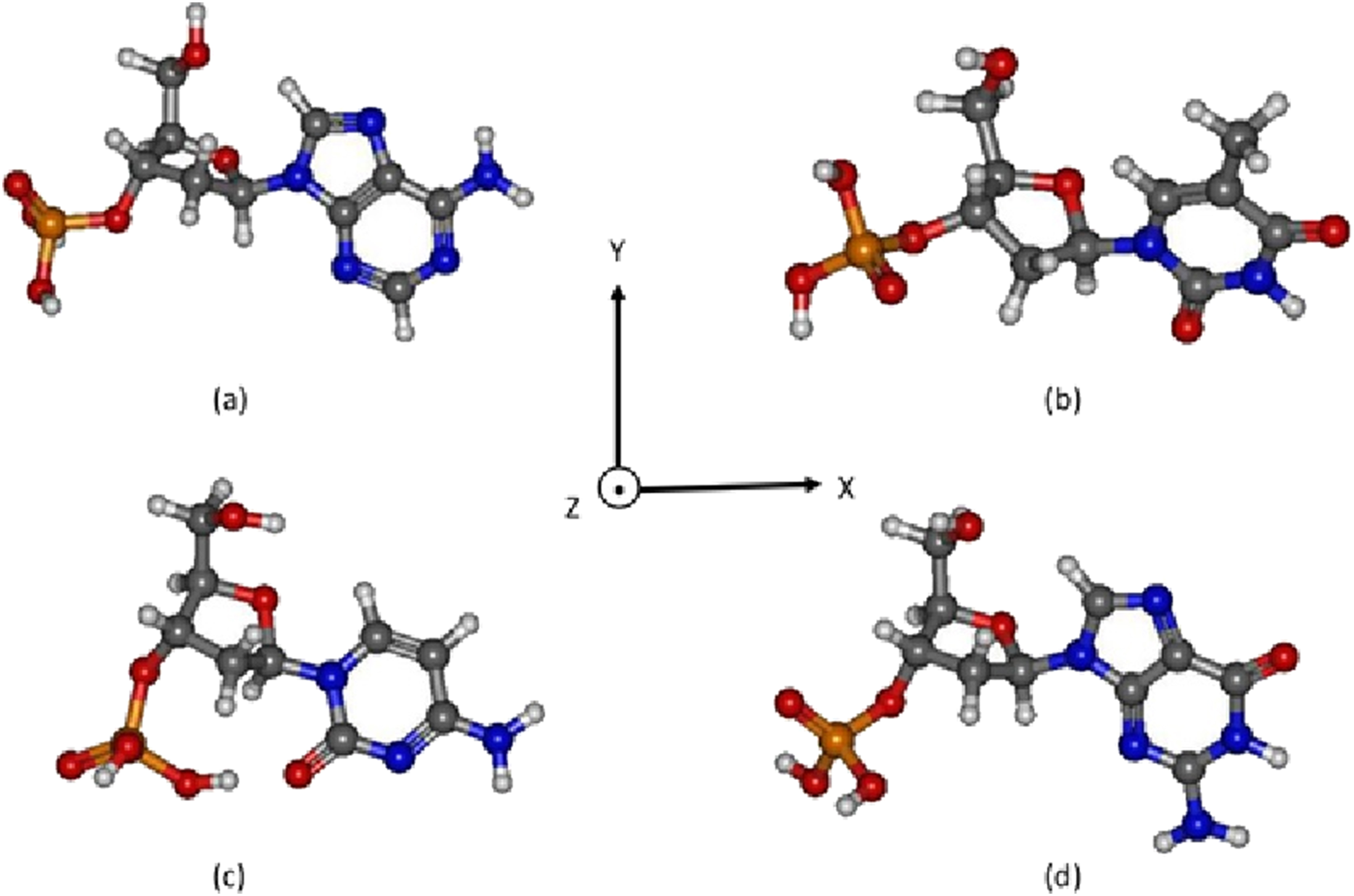 Hyper Rayleigh scattering from DNA nucleotides in aqueous solution ...