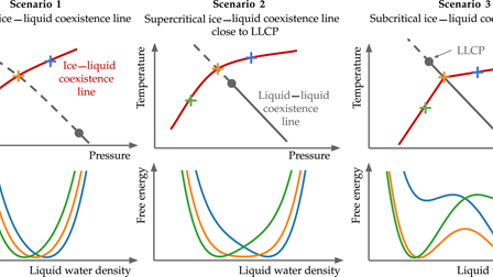 Melting curves of ice polymorphs in the vicinity of the liquid–liquid ...