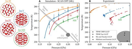 Melting curves of ice polymorphs in the vicinity of the liquid–liquid ...