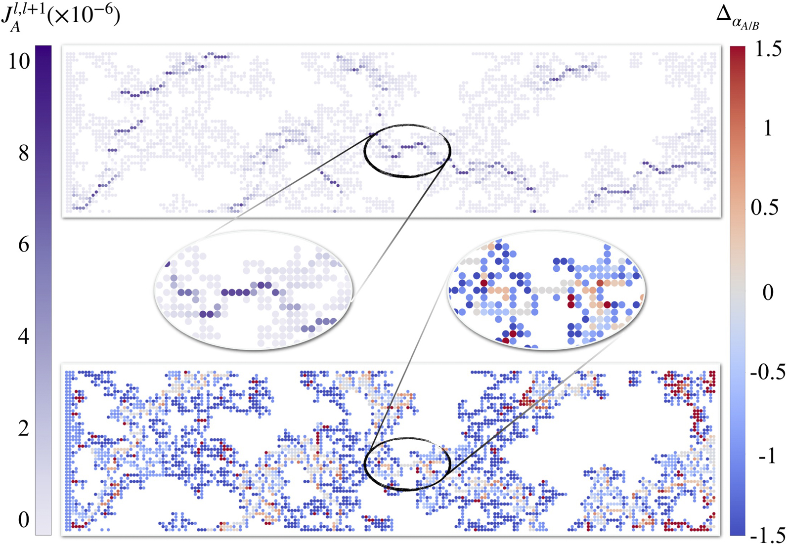 Simple lattice model explains equilibrium separation phenomena in ...