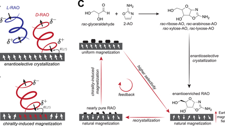The central dogma of biological homochirality: How does chiral ...