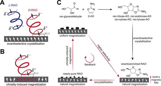 The central dogma of biological homochirality: How does chiral ...