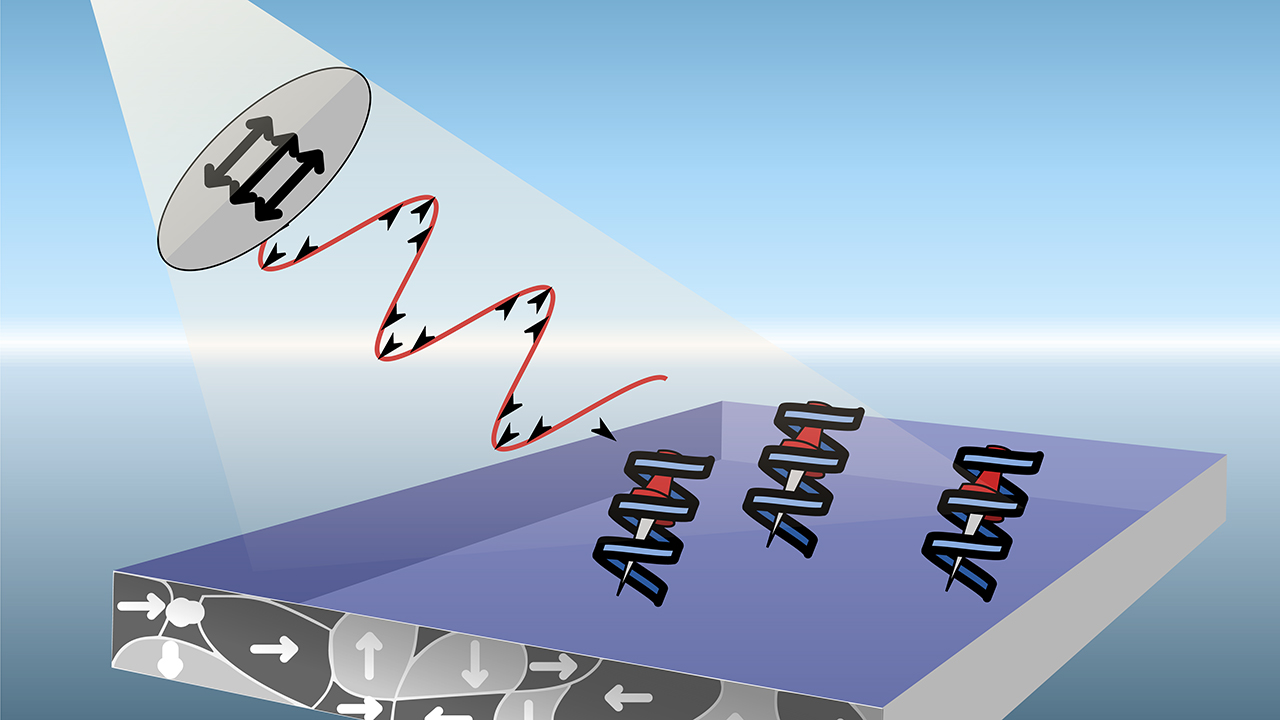 Magneto-optical imaging of magnetic-domain pinning induced by chiral ...