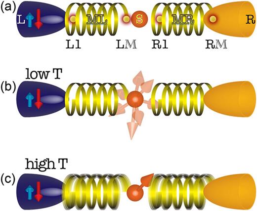 Temperature activated chiral induced spin selectivity | The Journal of ...