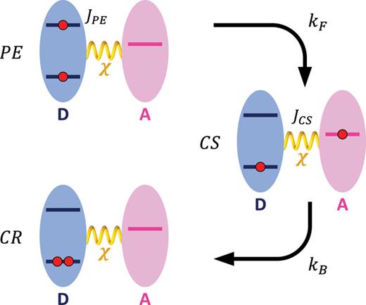 Chiral-induced spin selectivity in photo-induced electron transfer ...