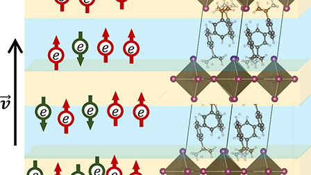 Chirality induced spin selectivity in chiral hybrid organic–inorganic ...