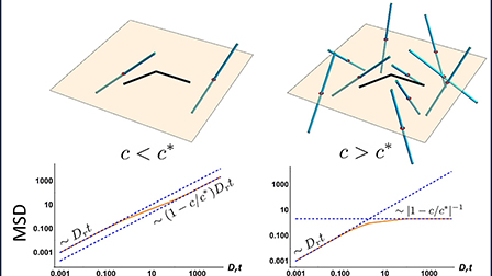 Dynamics of wire frame glasses in two dimensions | The Journal of ...