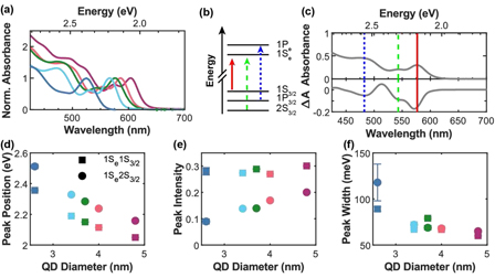 Exciton and biexciton transient absorption spectra of CdSe quantum dots ...