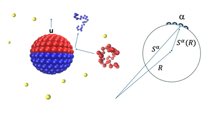 Microscopic theory of a Janus motor in a non-equilibrium fluid: Surface ...