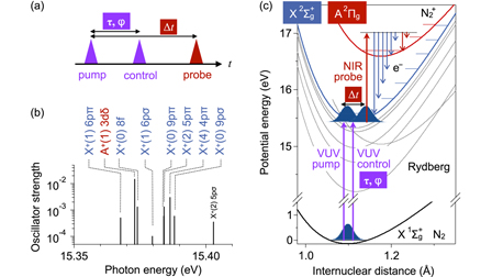 Wave packet dynamics and control in excited states of molecular ...
