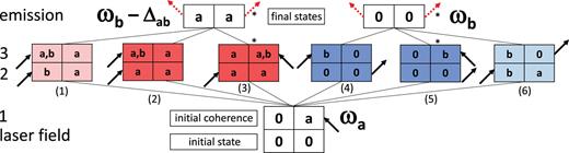 The 2D-IR spectrum of hydrogen-bonded silanol groups in pyrogenic ...