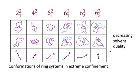 Single-molecule analysis of solvent-responsive mechanically interlocked ...