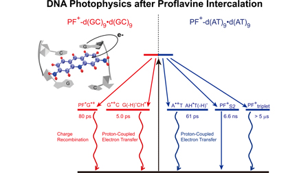 Ultrafast spectroscopy study of DNA photophysics after proflavine ...