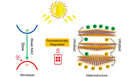 Reveal long-lived hot electrons in 2D indium selenide and ferroelectric ...