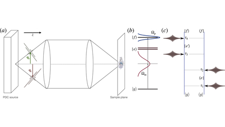 Two-photon absorption cross sections of pulsed entangled beams | The ...