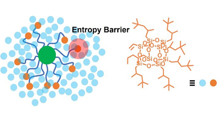 Particle topology-regulated relaxation dynamics in cluster-ordering ...
