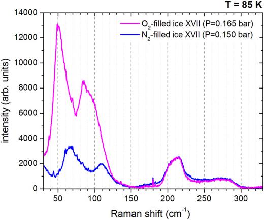 Microscopic dynamics of gas molecules confined in porous channel-like ...