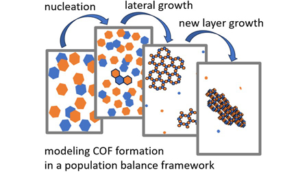 A population balance model for the kinetics of covalent organic ...