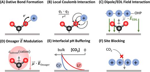 Cation effects in hydrogen evolution and CO2-to-CO conversion: A ...
