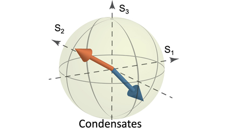 Optical spin hall effect in exciton–polariton condensates in lead ...