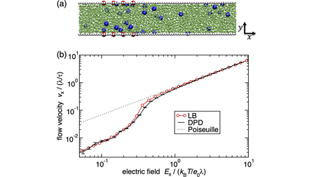 Dissipative particle dynamics for coarse-grained models | The Journal of Chemical Physics | AIP ...