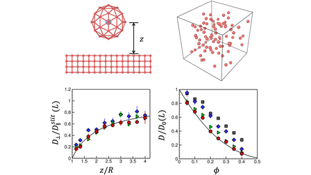 Multiparticle collision dynamics simulations of hydrodynamic interactions in colloidal ...
