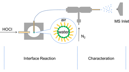 Heterogeneous hydrochlorination of lipids mediated by fatty acids in an ...