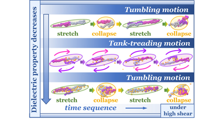Unveiling the transition of tumbling and tank-treading dynamics of star ...
