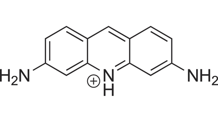 Absorption and fluorescence spectroscopy of cold proflavine ions ...