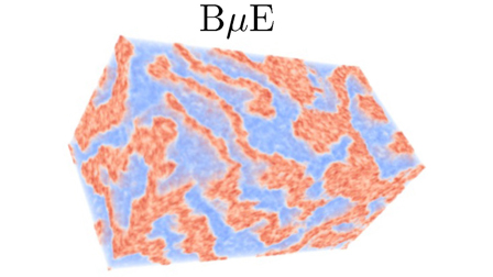 Bicontinuous microemulsion in binary blends of complementary diblock ...