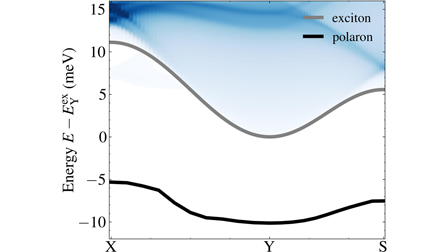 Theory of acoustic polarons in the two-dimensional SSH model applied to ...