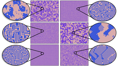 Probabilistic microkinetic modeling: Species balance equations for a ...