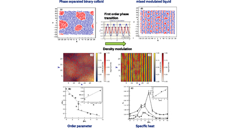 Anisotropic remixing of a phase separated binary colloidal system with particles of different ...
