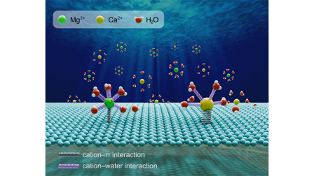 Hydrated cation–π interactions of π-electrons with hydrated Mg2+ and ...