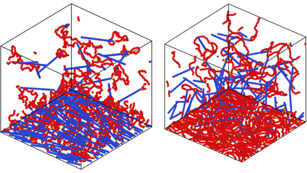Adsorption characteristics of Janus tadpole polymers | The Journal of ...