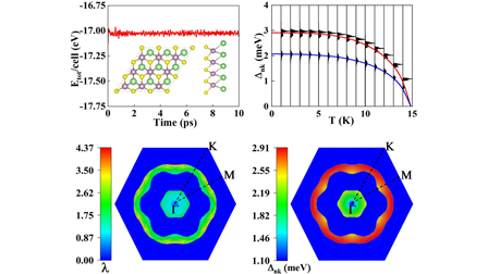 Strong electron–phonon coupling and multigap superconductivity in 2H/1T ...