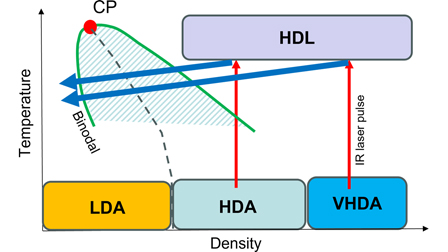 Unveiling a common phase transition pathway of high-density amorphous ...