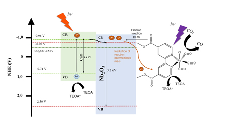 Visible light-driven CO2 photoreduction by a Re(I) complex immobilized ...