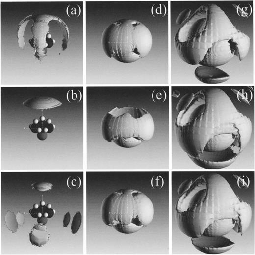 The structure of water: A historical perspective | The Journal of ...