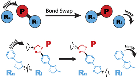 A bond swap algorithm for simulating dynamically crosslinked polymers | The Journal of Chemical ...