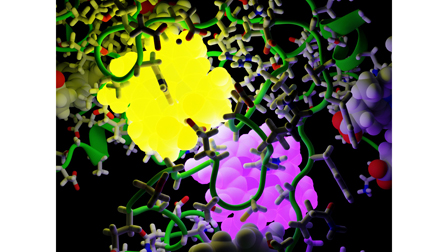 Electron transfer in a crystalline cytochrome with four hemes | The ...