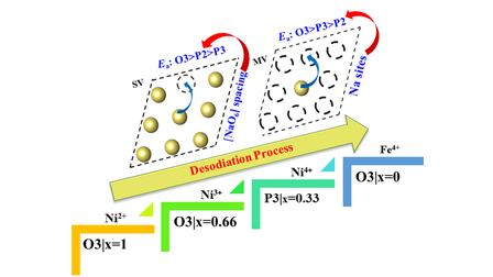 Structural and Na-ion diffusion behavior of O3/P3/P2-type NaNi1/3Mn1 ...