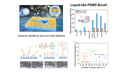 A simple fabrication of liquid-like polydimethylsiloxane coating for ...