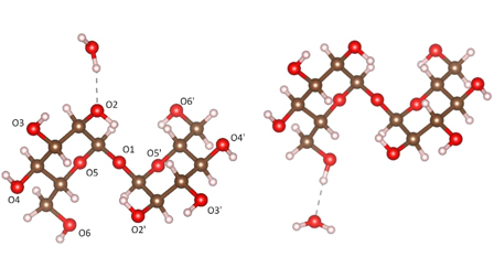 Hydrogen bonding in glassy trehalose–water system: Insights from ...