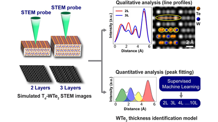 Quantifying the thickness of WTe2 using atomic-resolution STEM ...