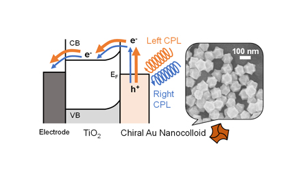 Photosensitization of TiO2 electrodes immobilized with chiral plasmonic ...